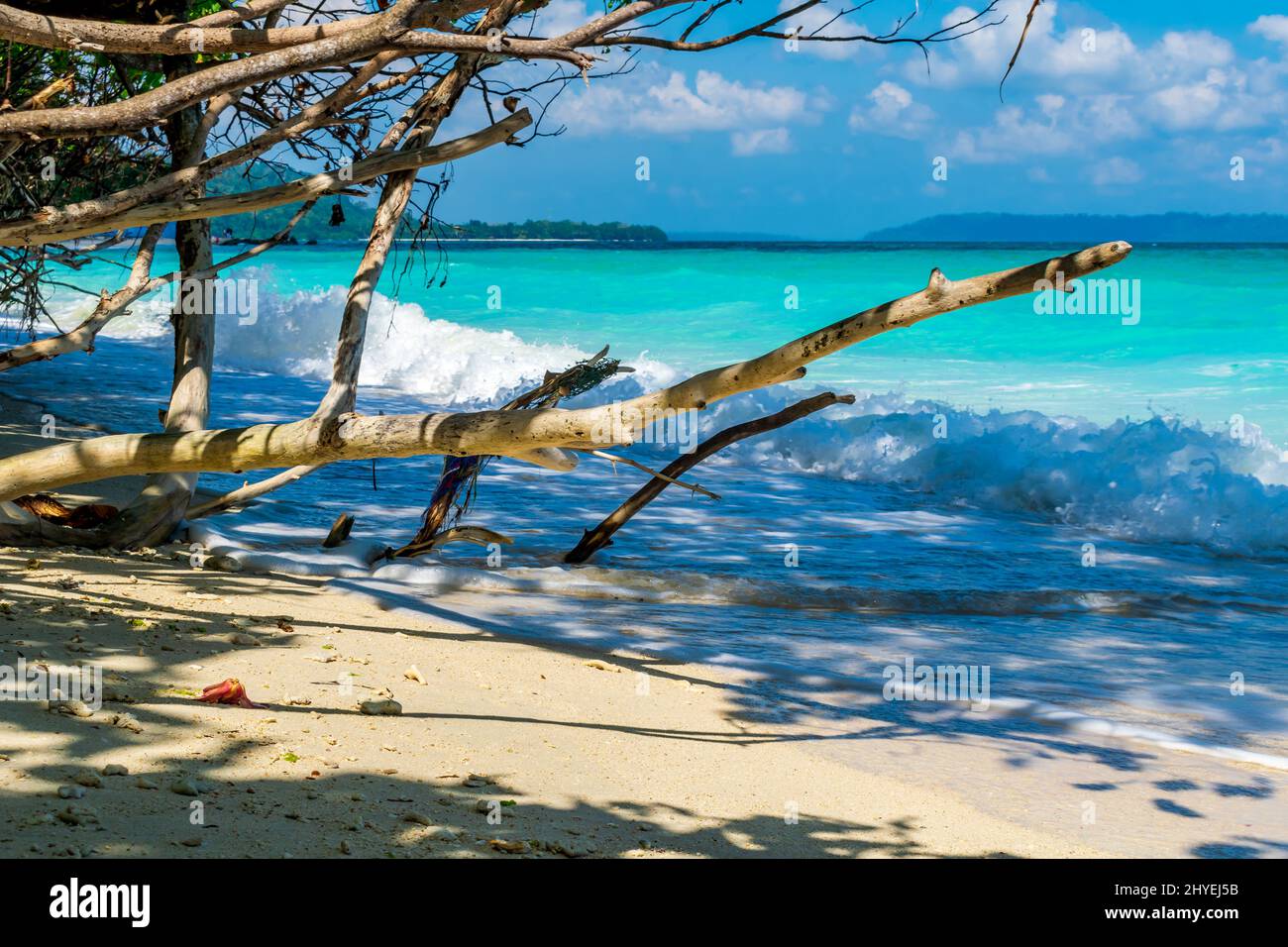Elephant beach havelock island andaman india hi-res stock photography ...
