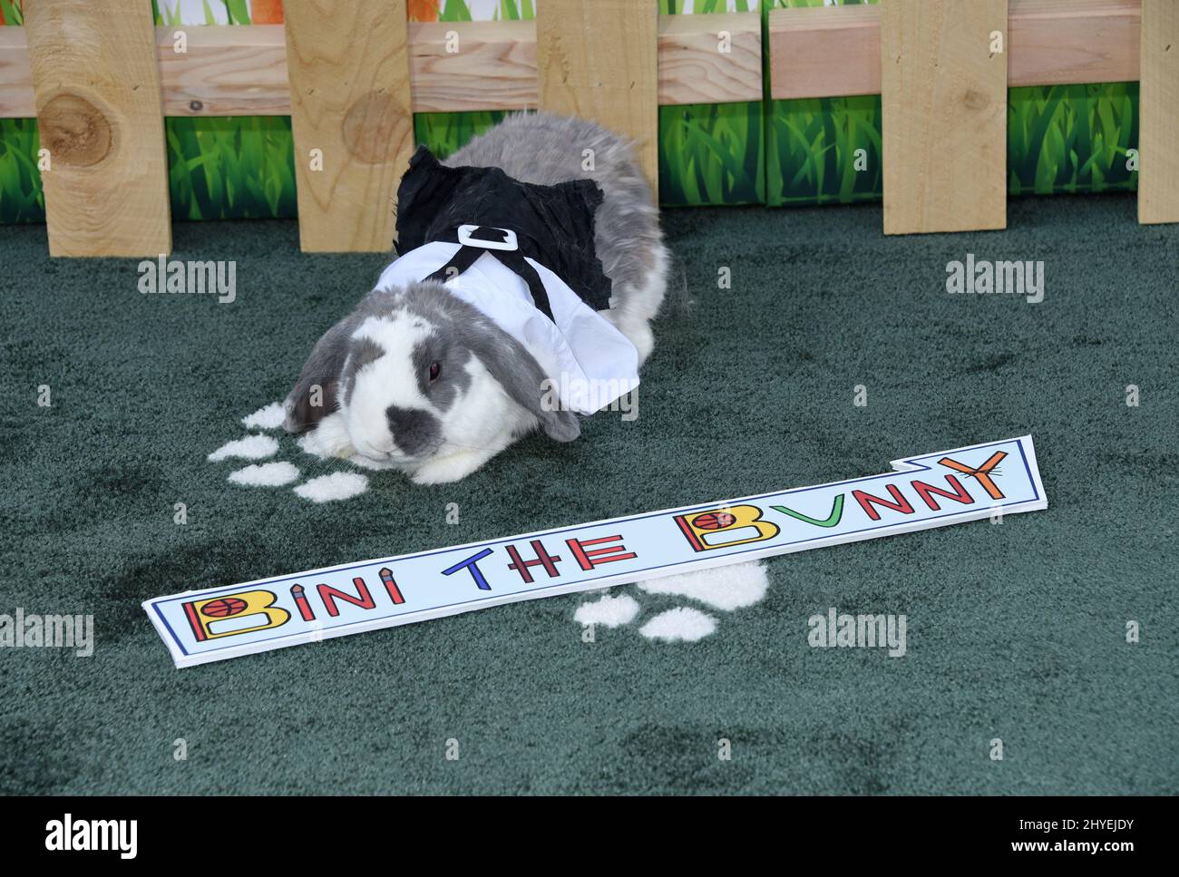 Bini The Bunny at the "Peter Rabbit" World Premiere held at The Grove ...