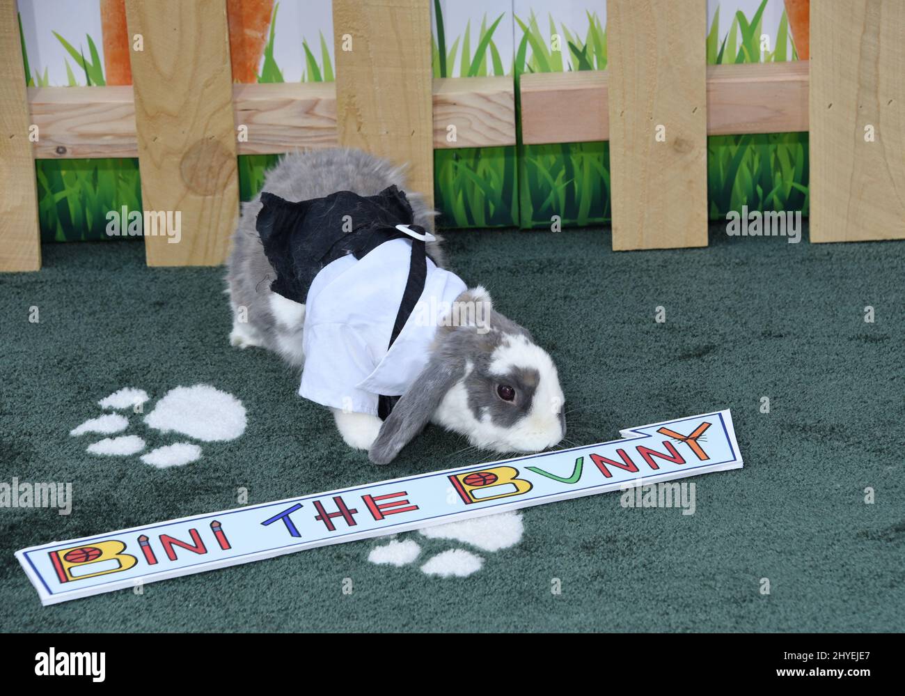 Bini The Bunny at the "Peter Rabbit" World Premiere held at The Grove ...