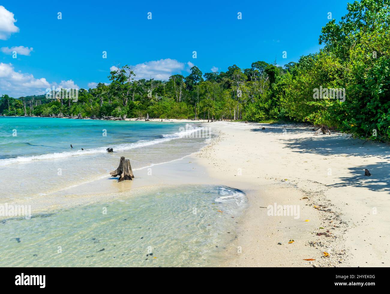 Elephant Beach, Havelock Island, Andaman, India Stock Photo - Alamy