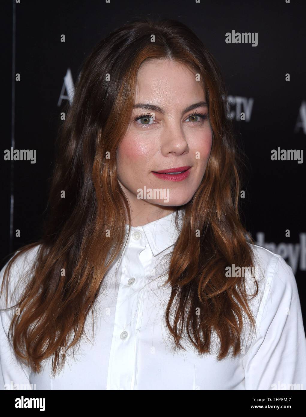 Michelle Monaghan at "The Vanishing of Sidney Hall" LA Screening at ...