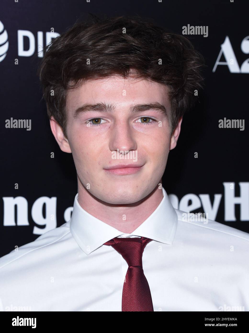 Dylan Summerall at "The Vanishing of Sidney Hall" LA Screening at ...