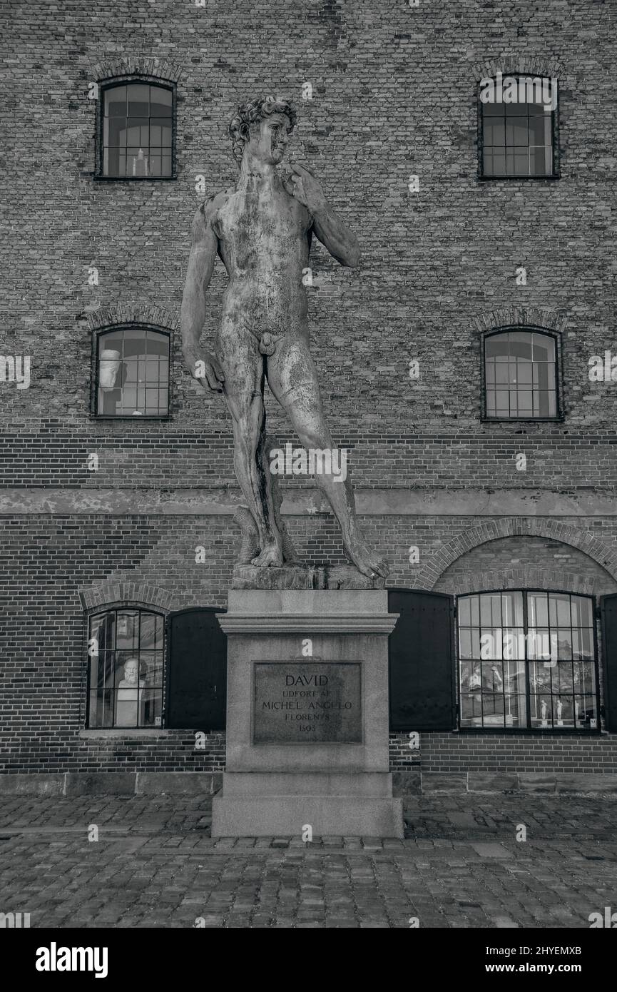 Denmark copenhagen michelangelo david statue hi-res stock photography ...