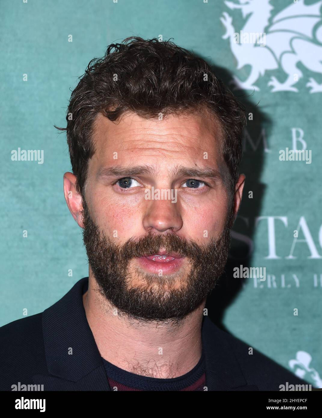 Jamie Dornan attends the 10th Woman In Film Pre-Oscar Cocktail Party ...