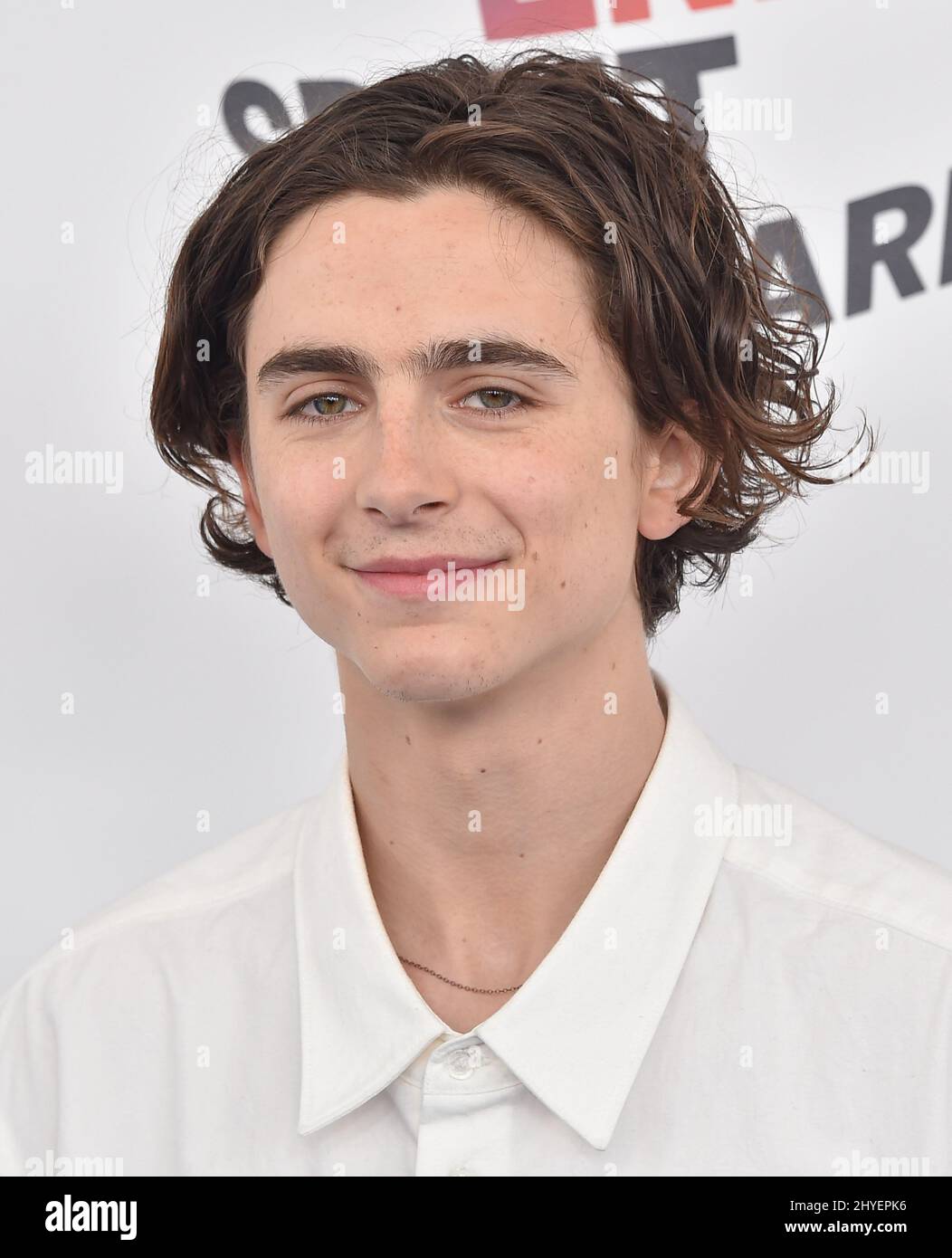 Timothee Chalamet at the 2018 Film Independent Spirit Awards held in a ...