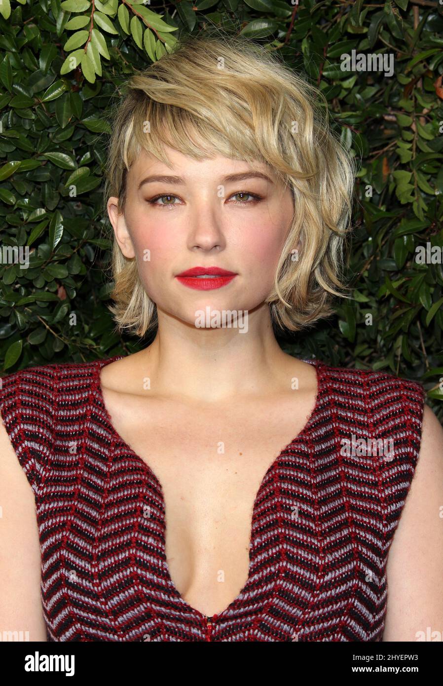 Haley Bennett attends Charles Finch And Chanel Pre-Oscar Awards Dinner ...