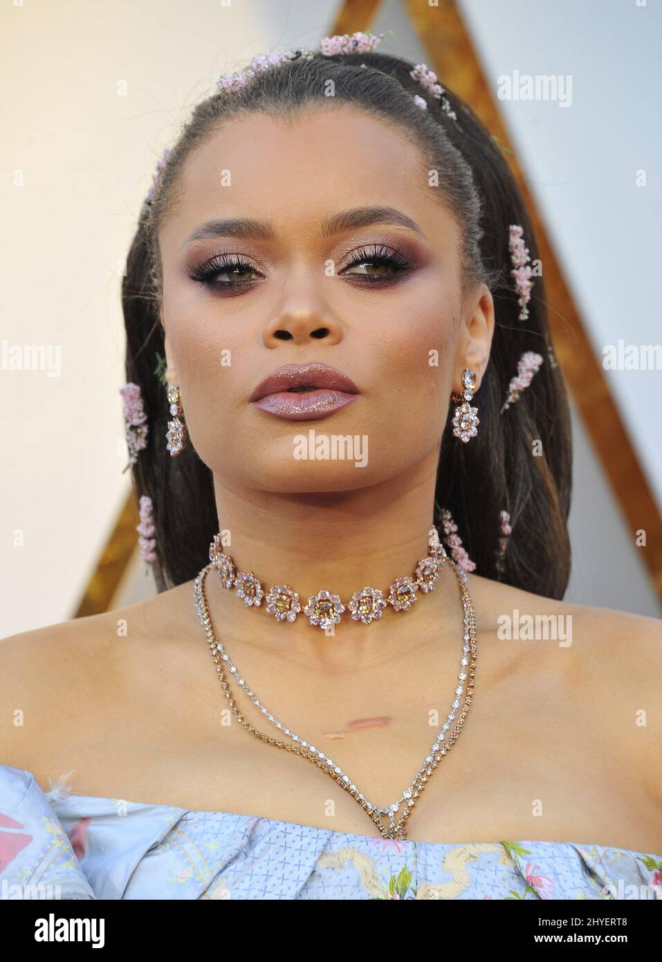 Andra Day arriving at the 90th Academy Awards in Los Angeles ...