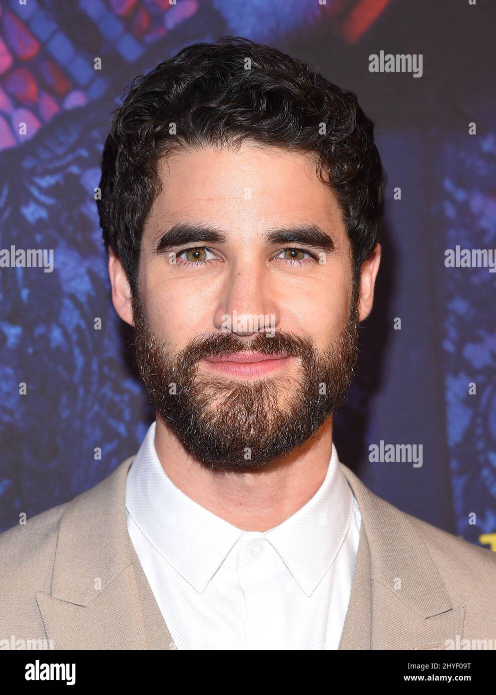 Darren Criss attending the red carpet for the FYC screening of "The ...