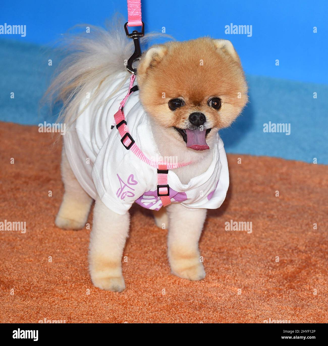 Jiff at Nickelodeon's 2018 Kids' Choice Awards held at The Forum on ...