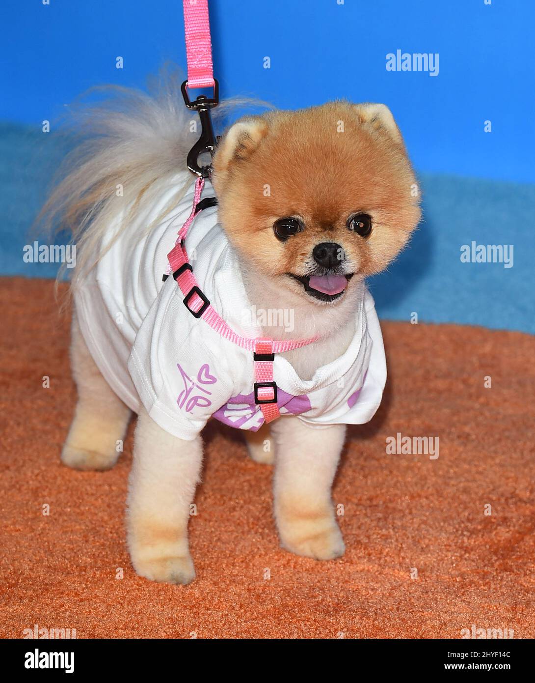 Jiff at Nickelodeon's 2018 Kids' Choice Awards held at The Forum on ...