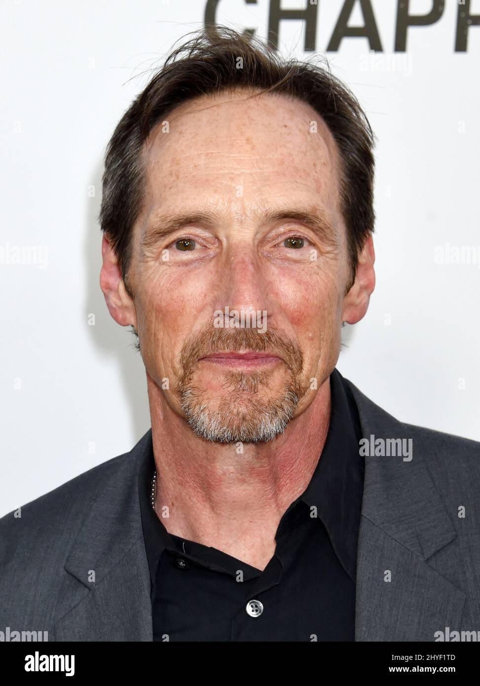 Taylor Nichols at 'Chappaquiddick' Los Angeles Premiere held at the ...