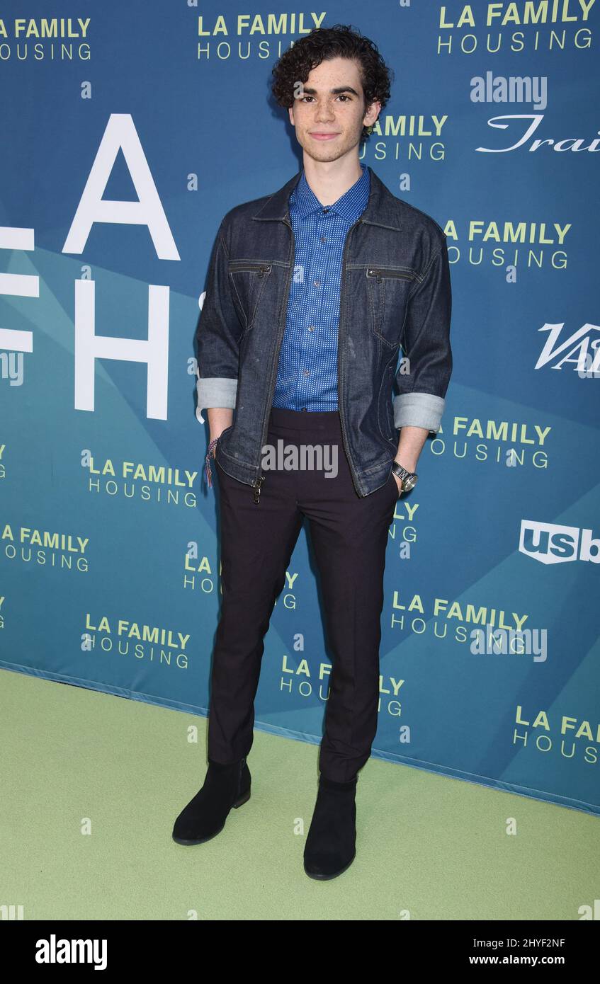 Dolphin Tale 2 Cameron Boyce