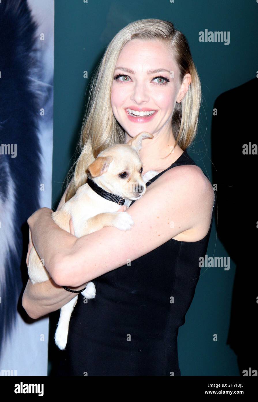 Amanda Seyfried attending the Third Annual Best Friends Animal Society ...