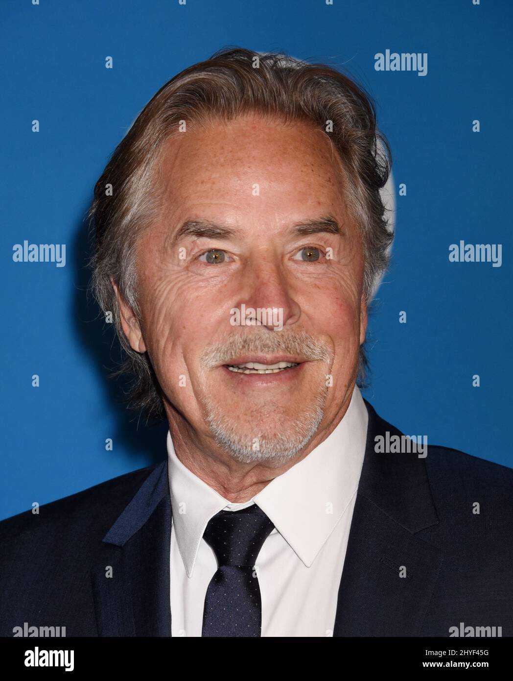 Don Johnson at the 7th Biennial UNICEF BALL: Los Angeles held at the ...