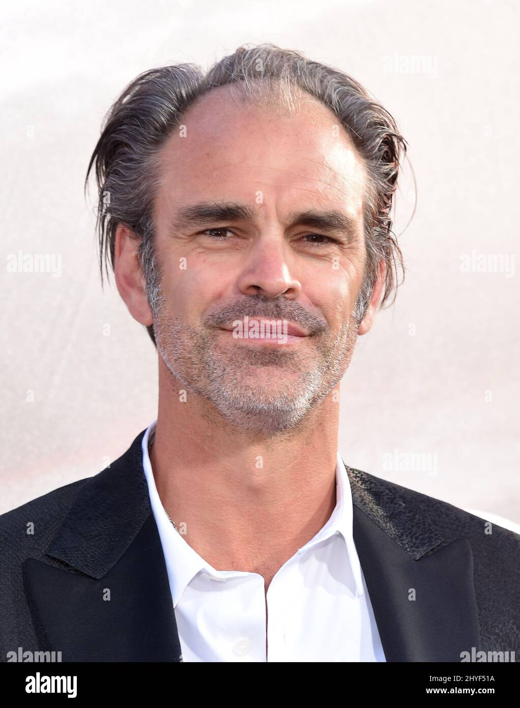 Steven Ogg at the HBO's 'Westworld' Season 2 Premiere event at Cinerama ...