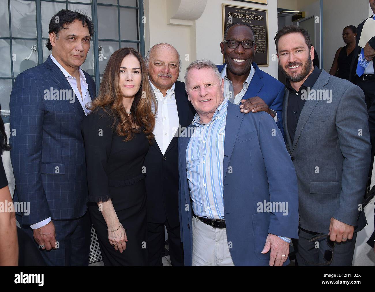 Jimmy Smits, Kim Delaney, Dennis Franz, Gordon Clapp, James McDaniel ...