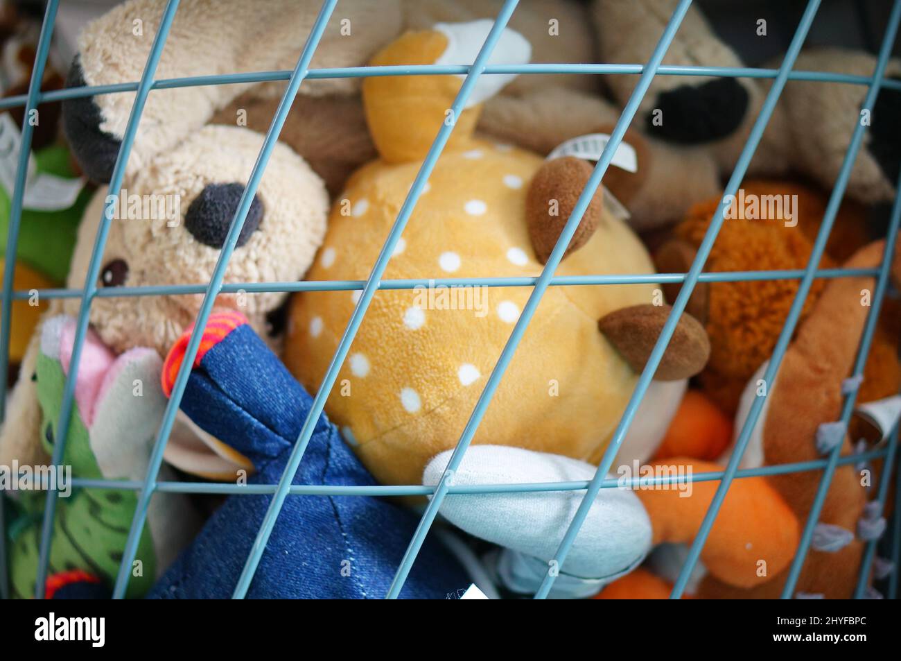 Closeup of a mix of branded plush animals inside a container behind a ...