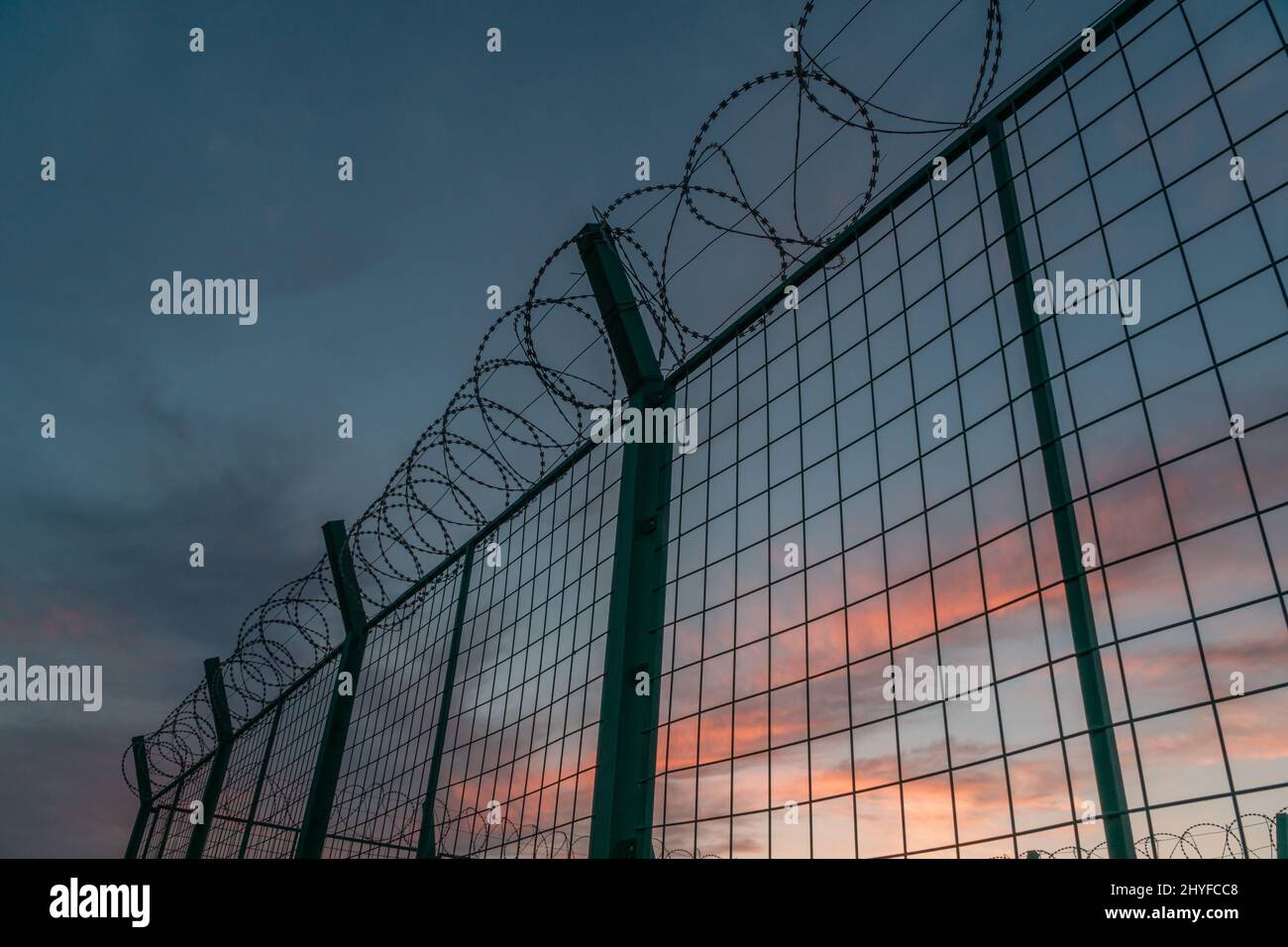 Closeup shot full view hi-res stock photography and images - Alamy
