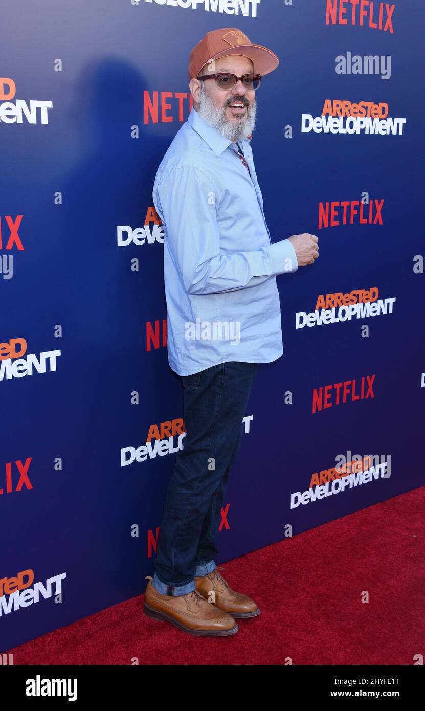 David Cross at Netflix's "Arrested Development" Season 5 Premiere held ...
