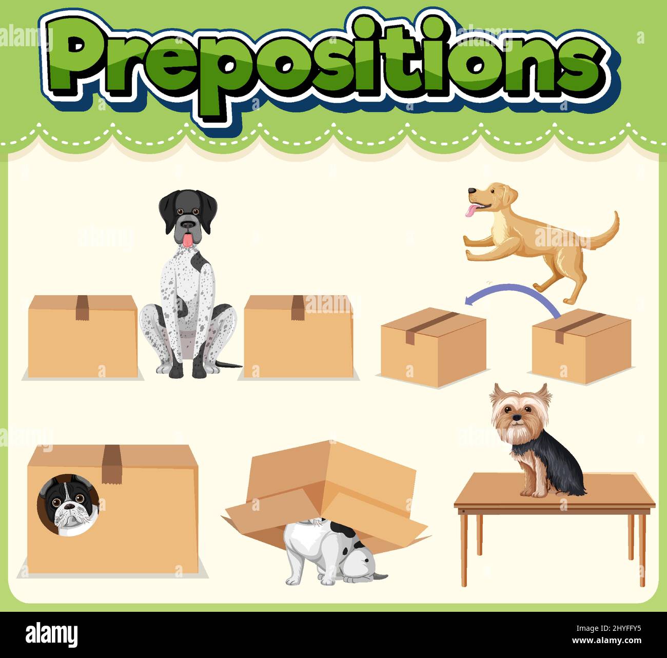 Preposition wordcard with dog and box illustration Stock Vector Image ...