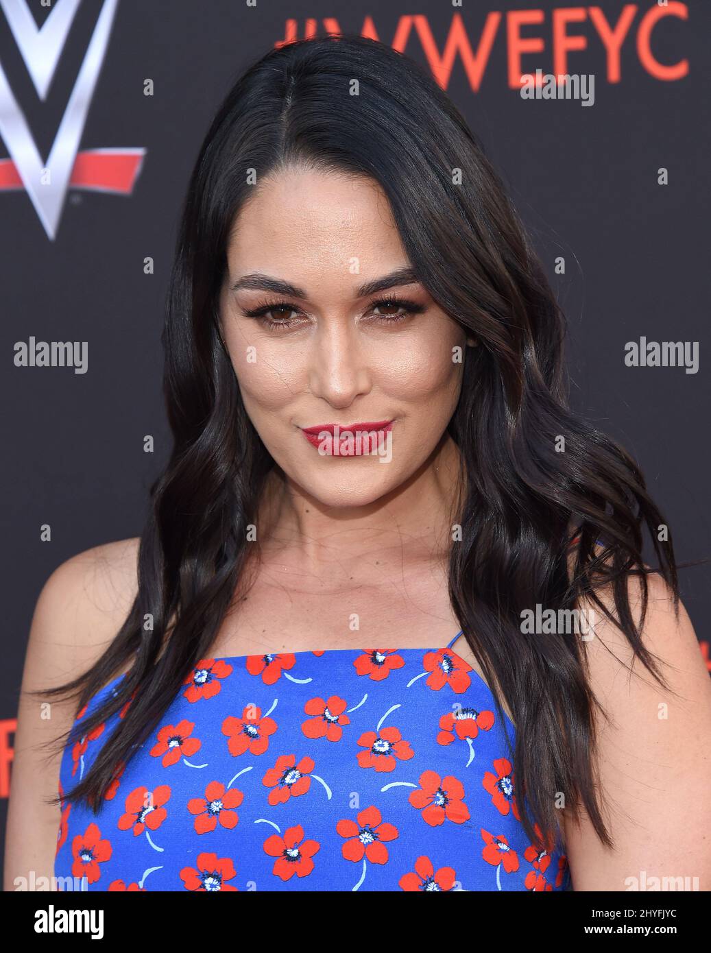 Brie bella wrestling hi-res stock photography and images - Alamy