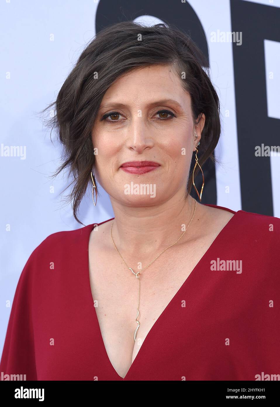 Rachel Morrison at the 46th AFI Life Achievement Award Gala Tribute ...