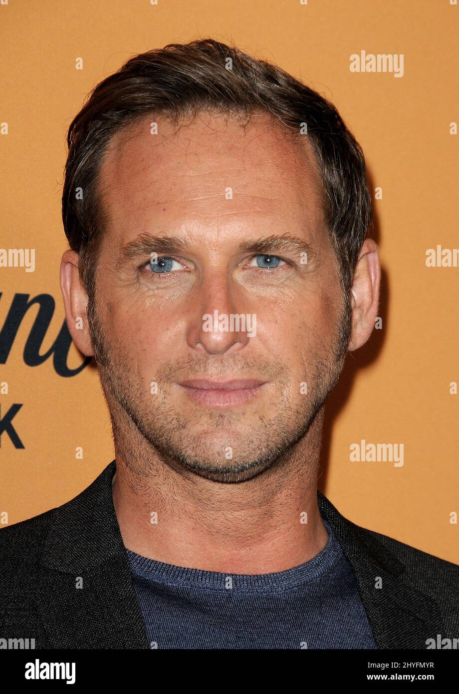 Josh Lucas at the world premiere of "Yellowstone" presented by Vanity ...