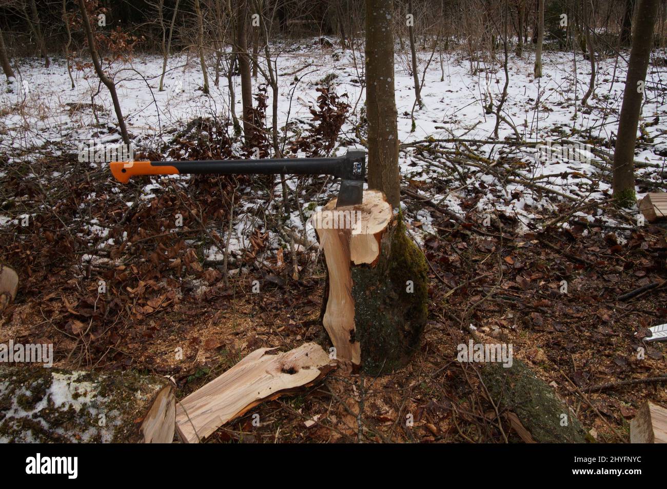 Axe and chopped firewood in a park Stock Photo - Alamy