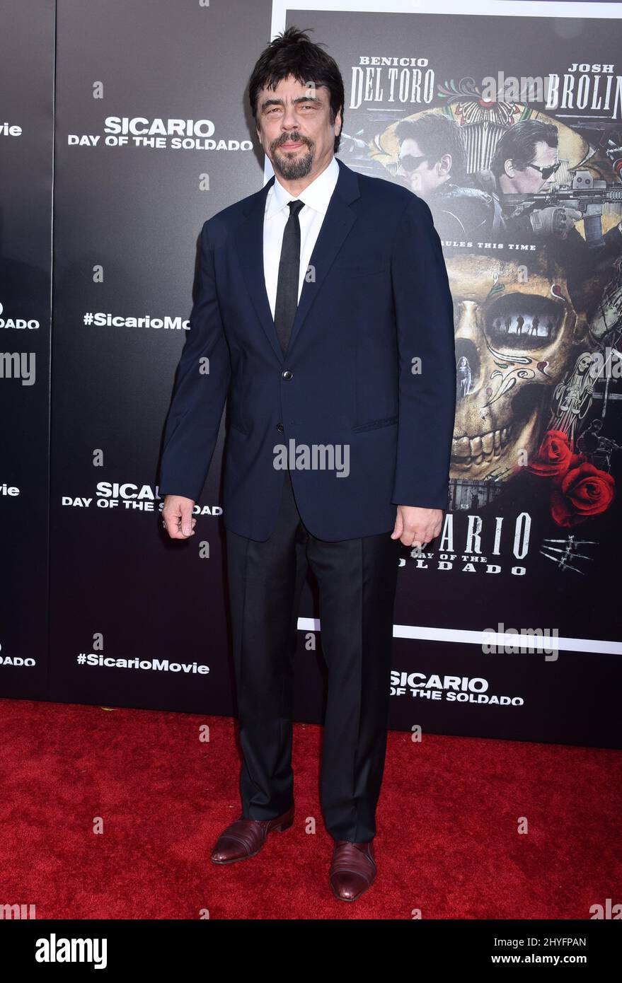 Benecio Del Toro at the "Sicario: Day Of The Soldado" Los Angeles ...