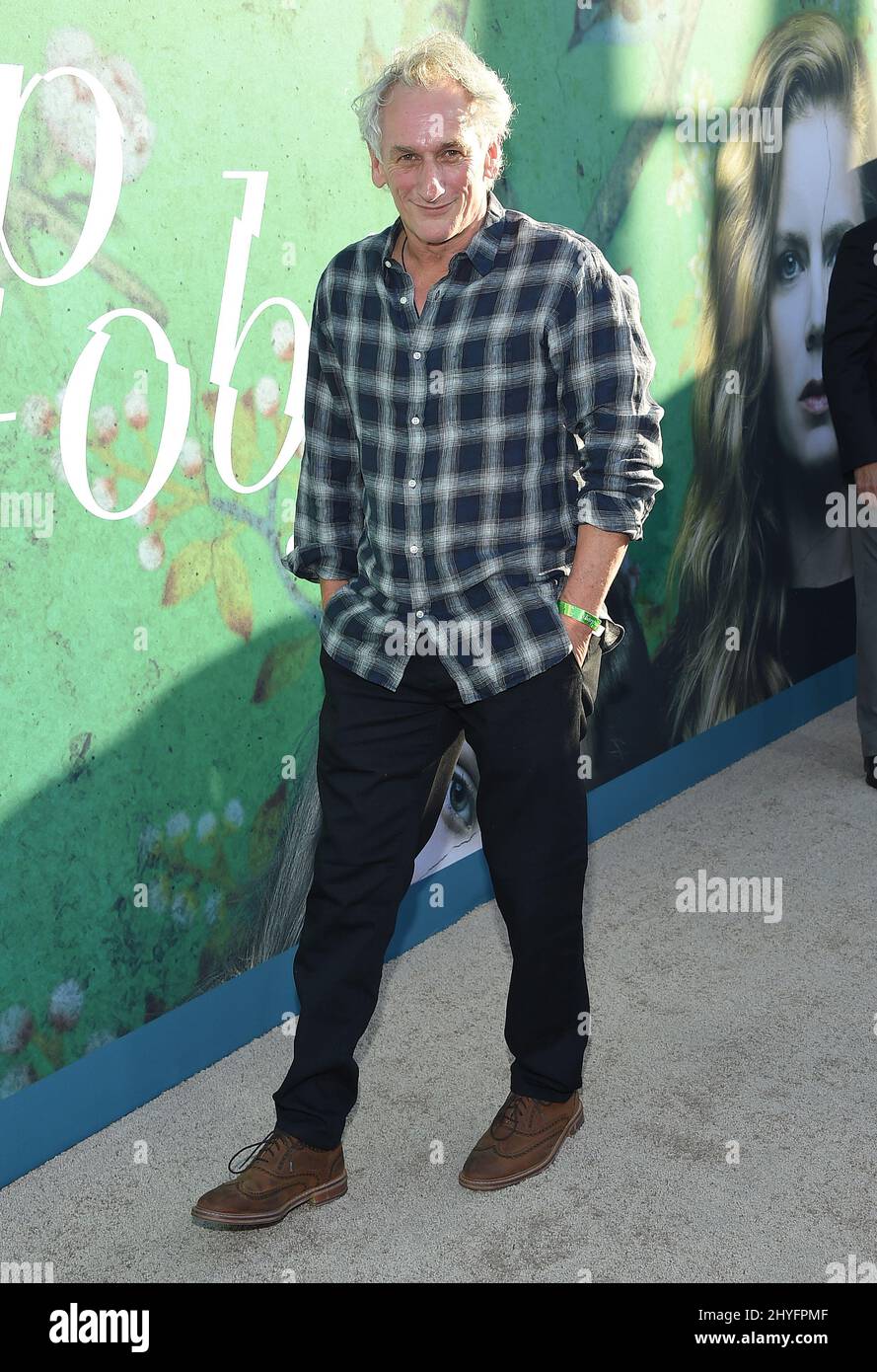 Matt Craven at the Los Angeles premiere of HBO's limited series "Sharp ...