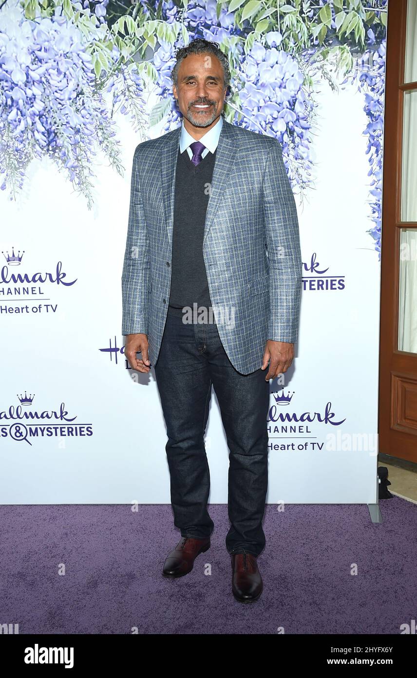 Rick Fox at Hallmark Channel's Summer TCA event held at a private ...