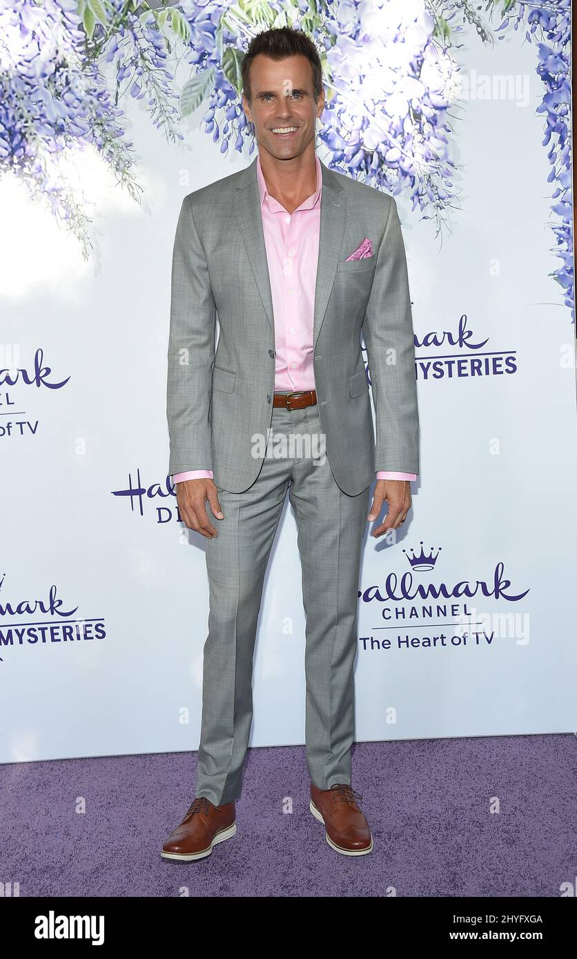 Cameron Mathison at Hallmark Channel's Summer TCA event held at a ...