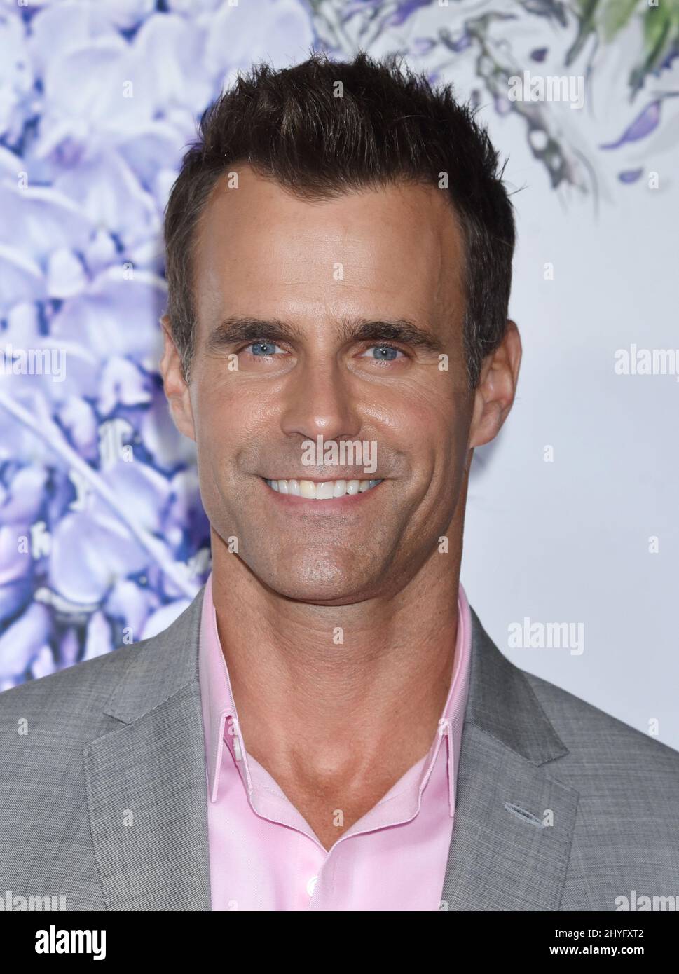 Cameron Mathison at the Hallmark Channel Summer TCA Event held at a ...