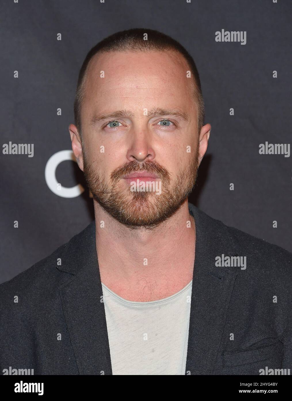 Aaron Paul arrives at Netflix's 'Atypical' and 'BoJack Horseman' during ...