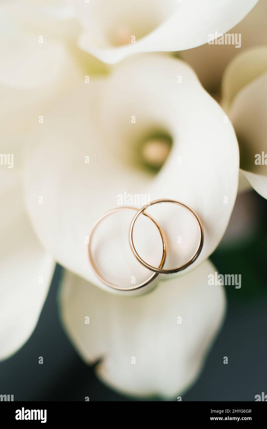 Luxury rich rings wedding rings close-up on a petal of white calla ...