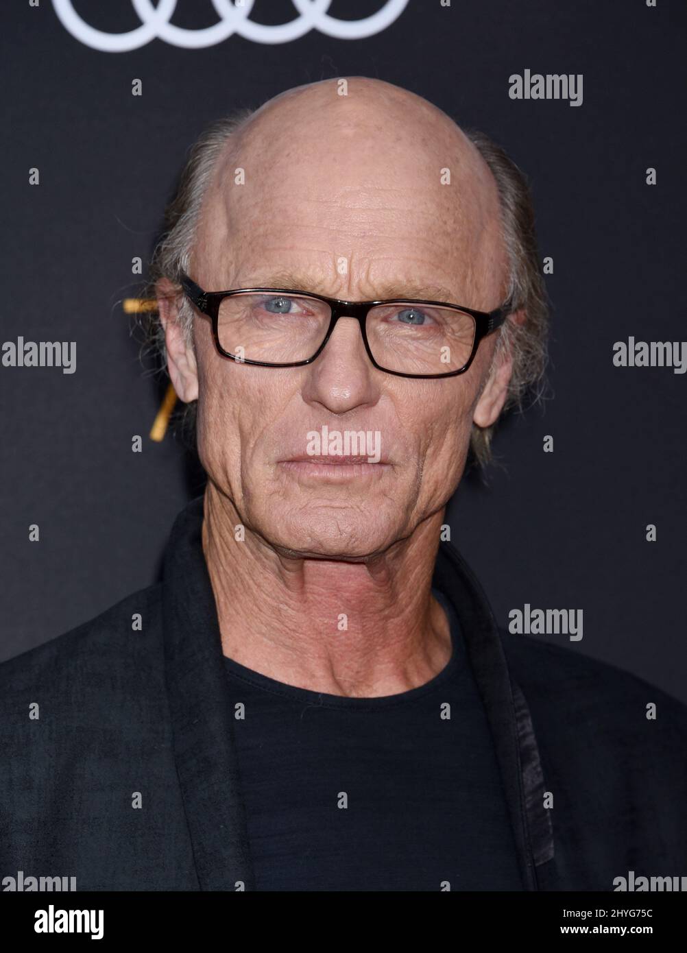 Ed Harris attending the Television Academy's Performer Nominee ...