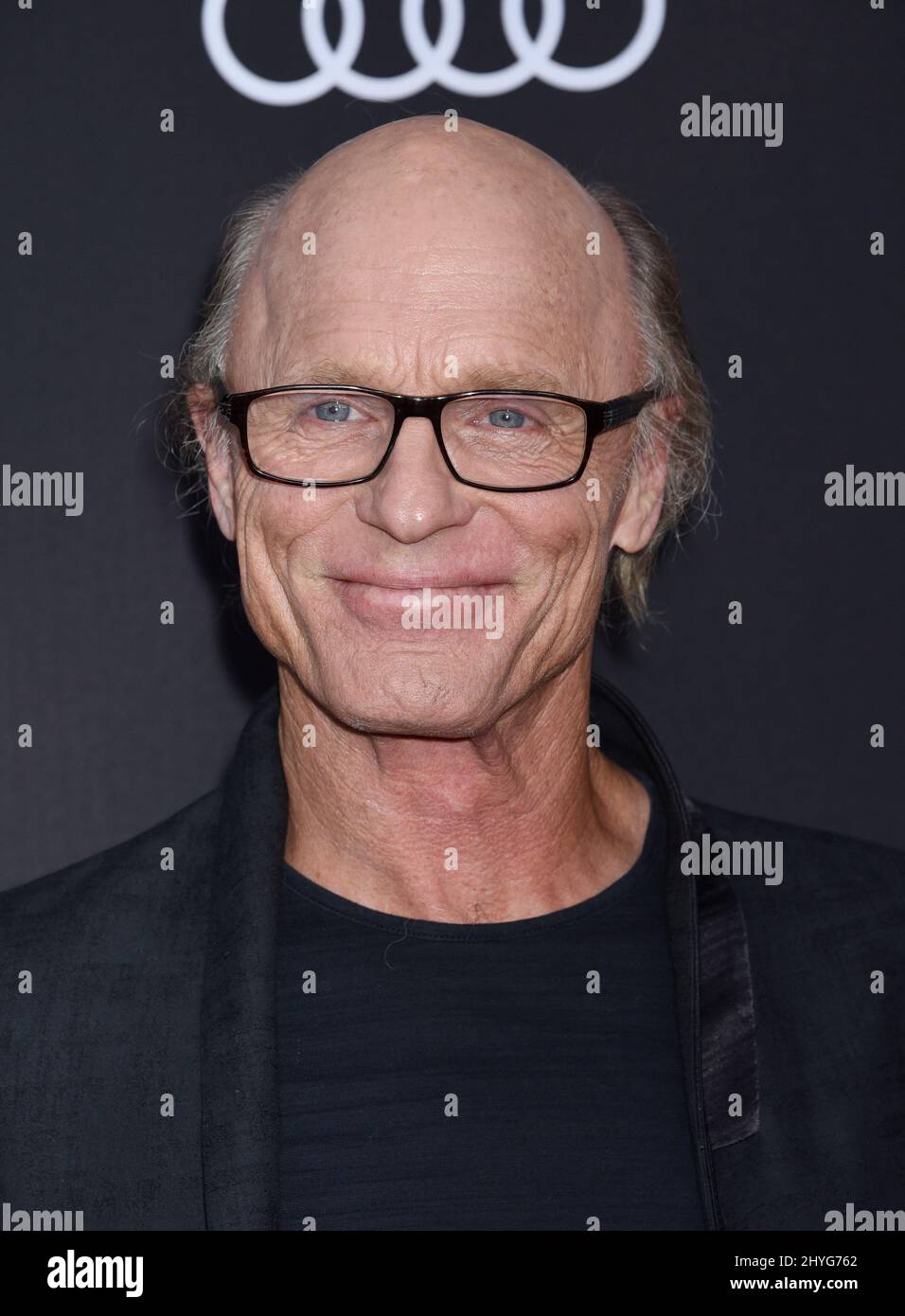 Ed Harris attending the Television Academy's Performer Nominee ...