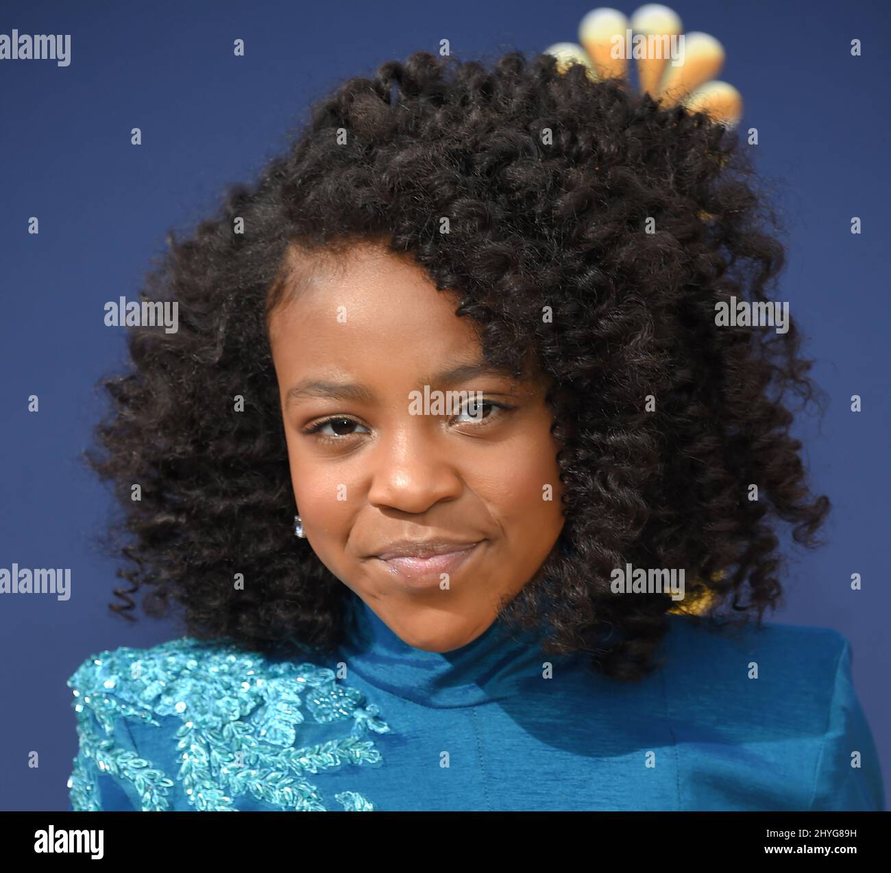 Madison Ferguson's Instagram, Twitter & Facebook on IDCrawl