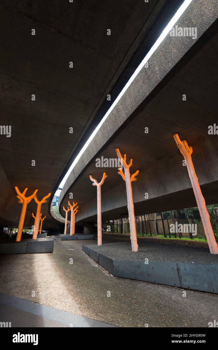 Aspire by Warren Langley, glowing golden trees appear to grow and ...