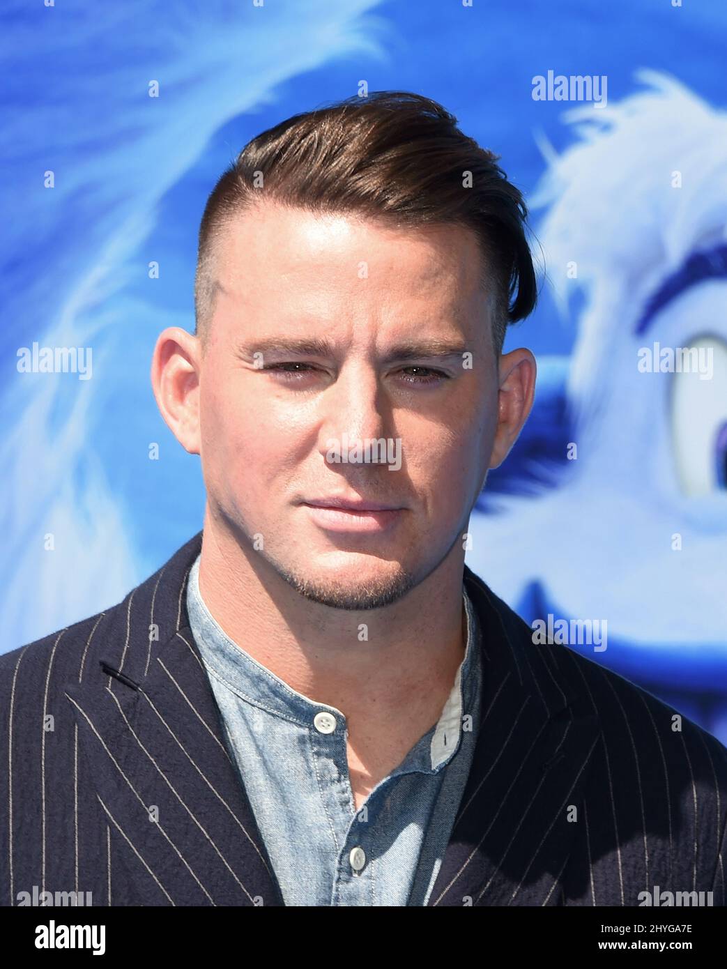 Channing Tatum at the "Smallfoot'" world premiere held at the Regency ...
