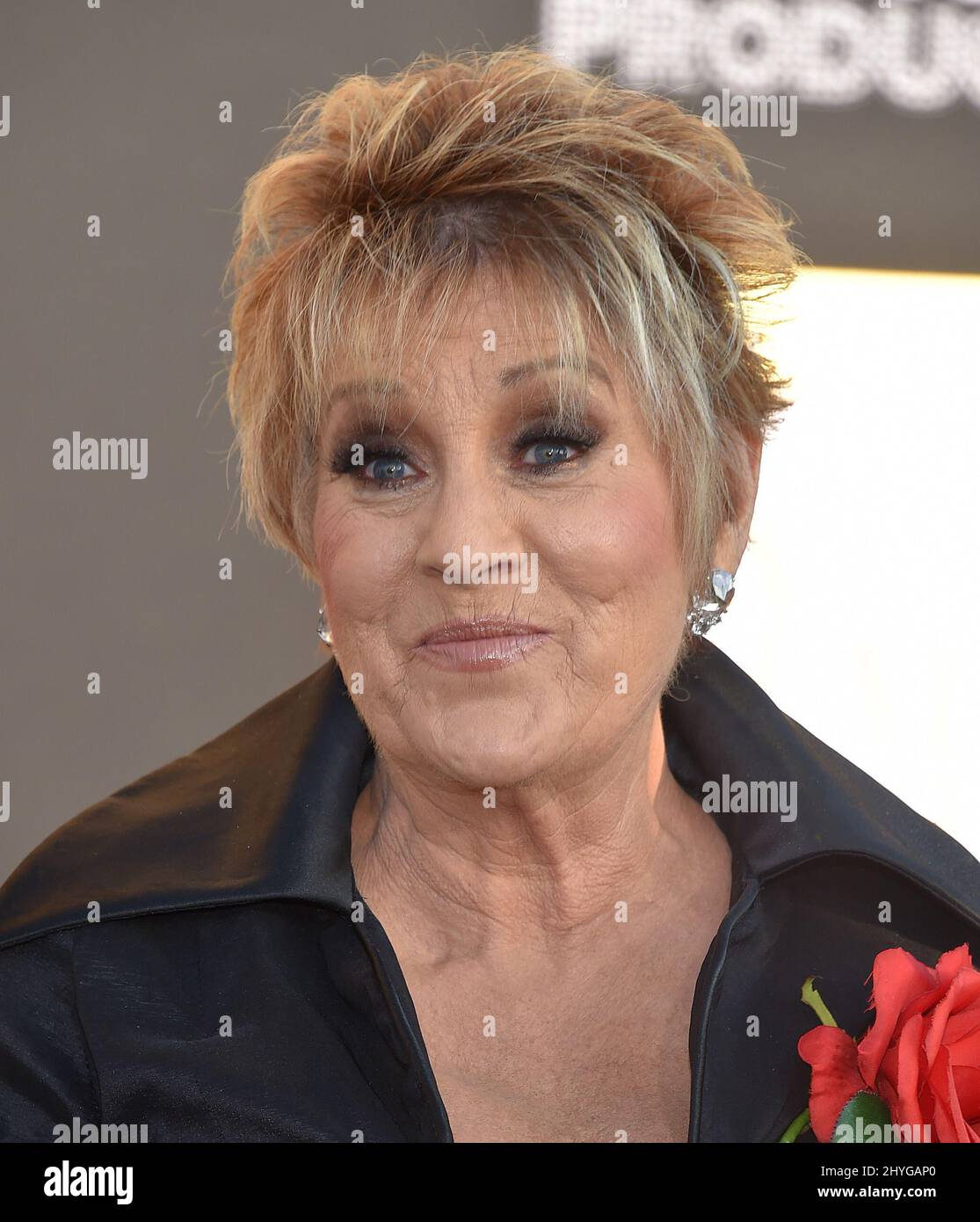 Lorna Luft's Instagram, Twitter & Facebook on IDCrawl