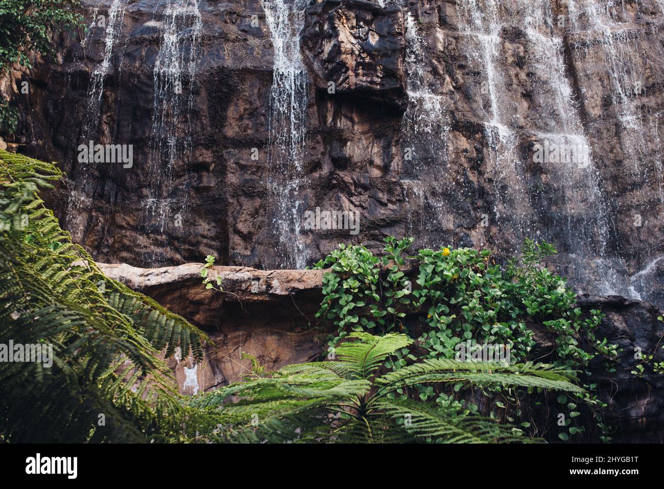 Tropical waterfall in rain forest Stock Photo - Alamy
