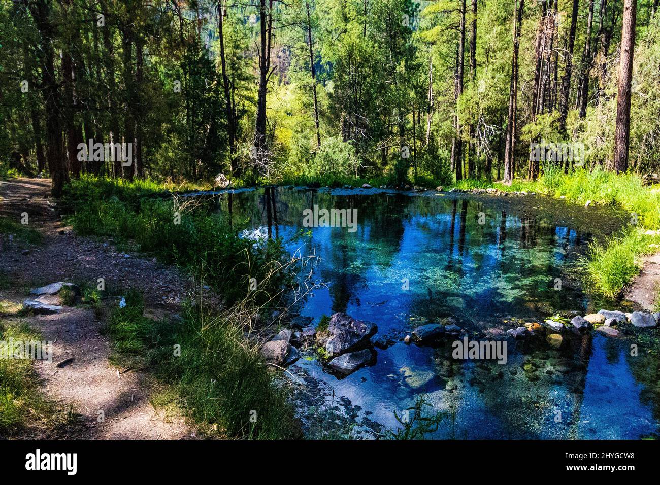 Spring at Mcauley Warm springs in New Mexico Stock Photo - Alamy