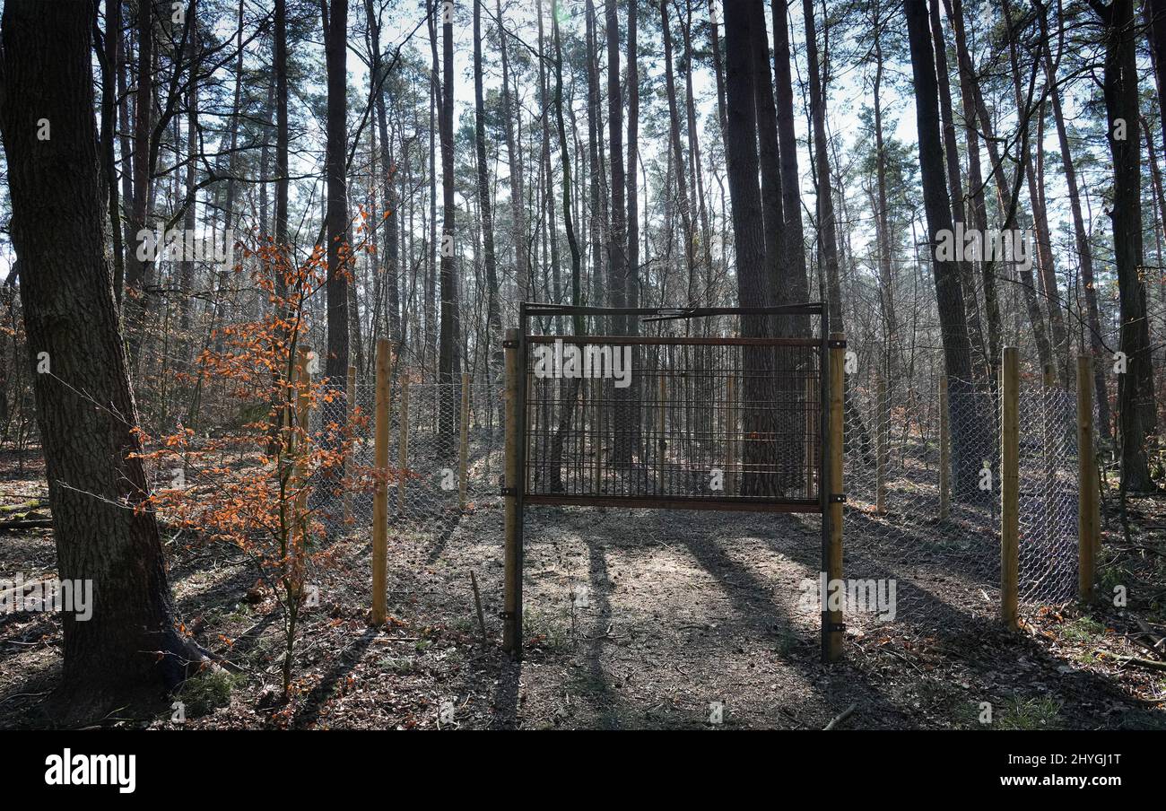 14 March 2022, Brandenburg, Steinhöfel: A stationary trap for wild ...