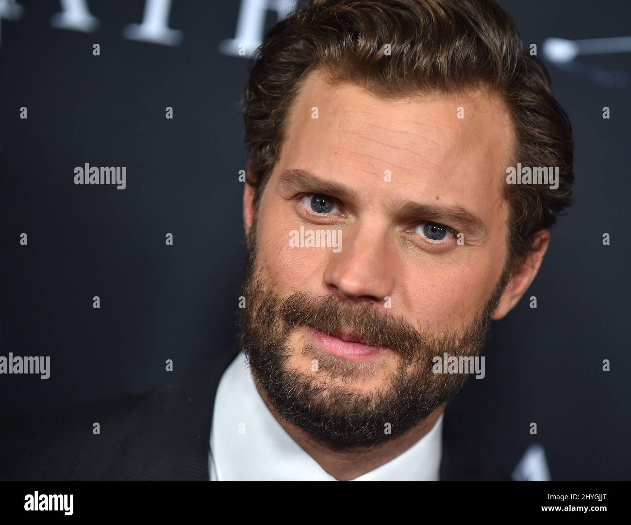 Jamie Dornan at "A Private War" Los Angeles premiere held at the Samuel ...