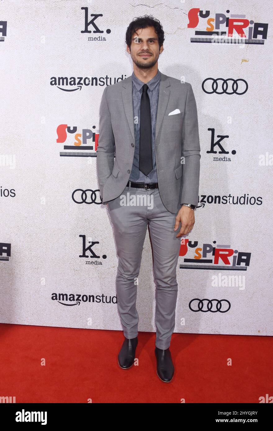 Skyler Bible at the Amazon Studios 'Suspiria' Premiere held at the ...