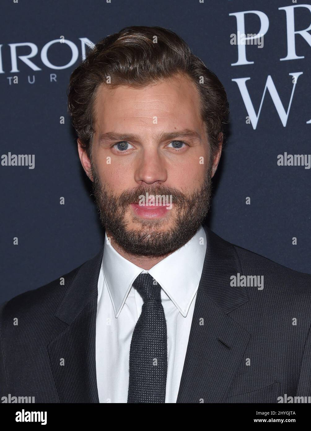 Jamie Dornan at "A Private War" Los Angeles premiere held at the Samuel ...