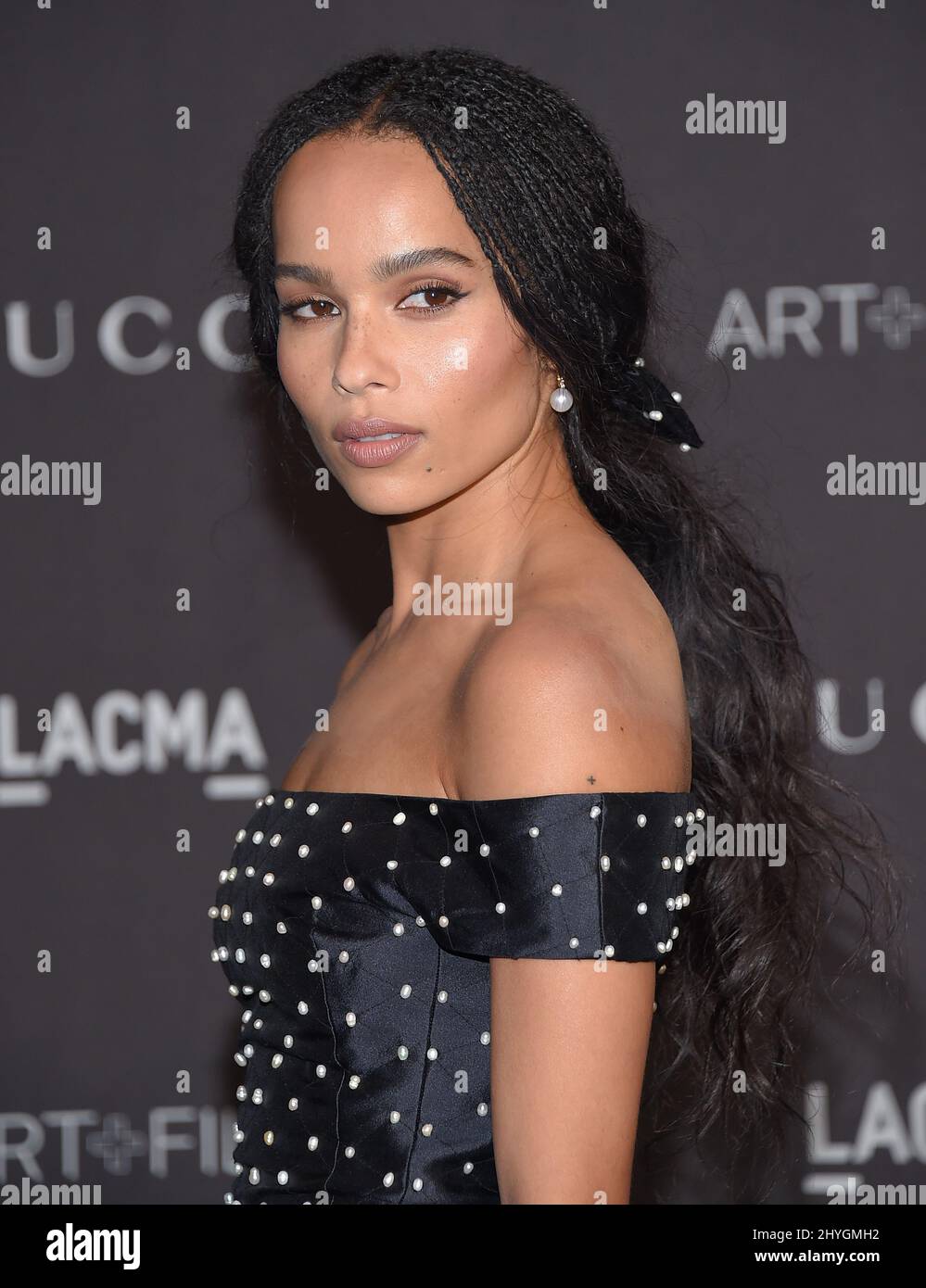 Zoe Kravitz attending the LACMA Alfonso Cuaron at LACMA Art + Film Gala ...