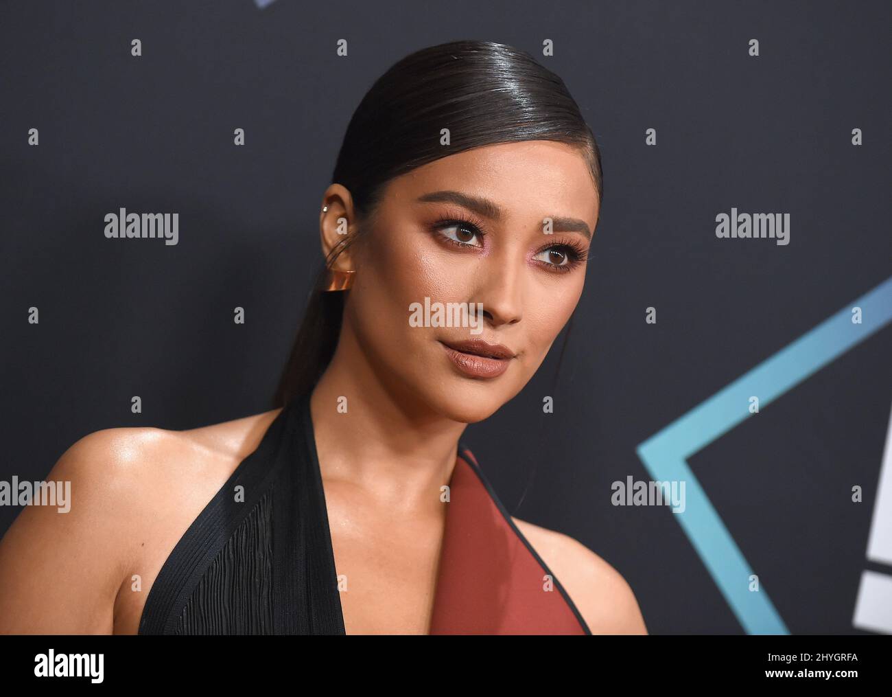 Kelly Shay's Instagram, Twitter & Facebook on IDCrawl