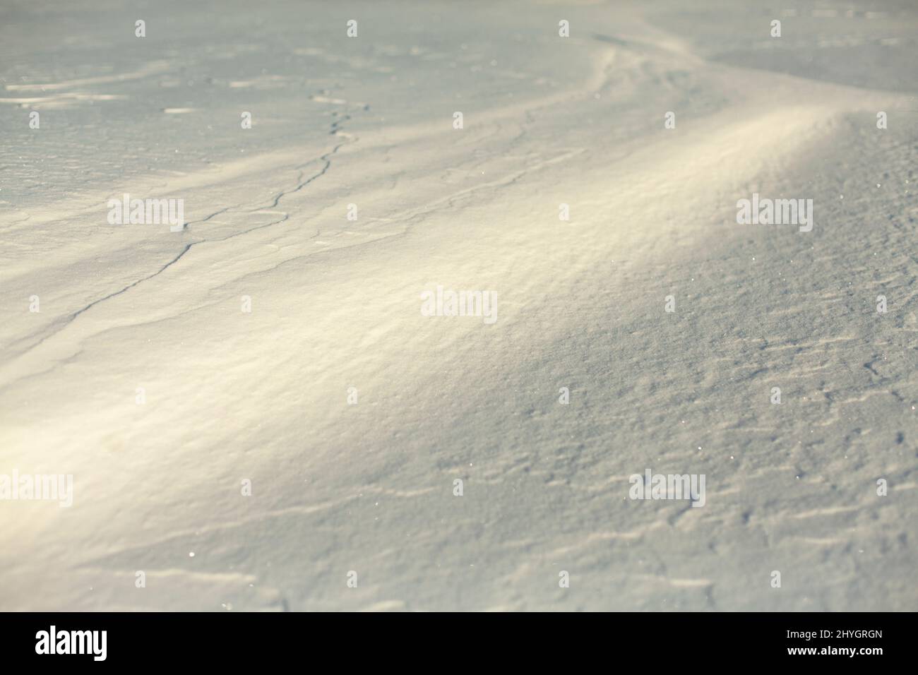 Snow texture. Windy surface of snowdrift. Snowy field. Winter weather ...
